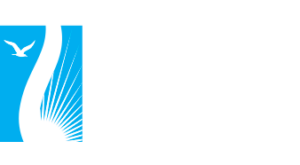 Leia Rispoli, MD - DISC Surgery Center